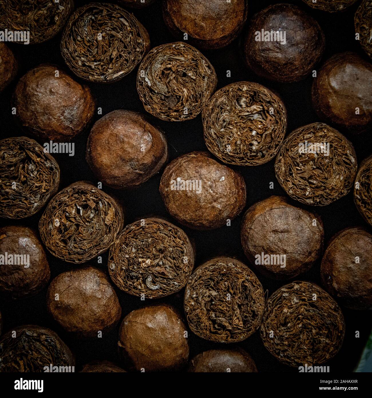 Cigars / Cuban Cigars: Traditional hand rolled tobacco stored in ...