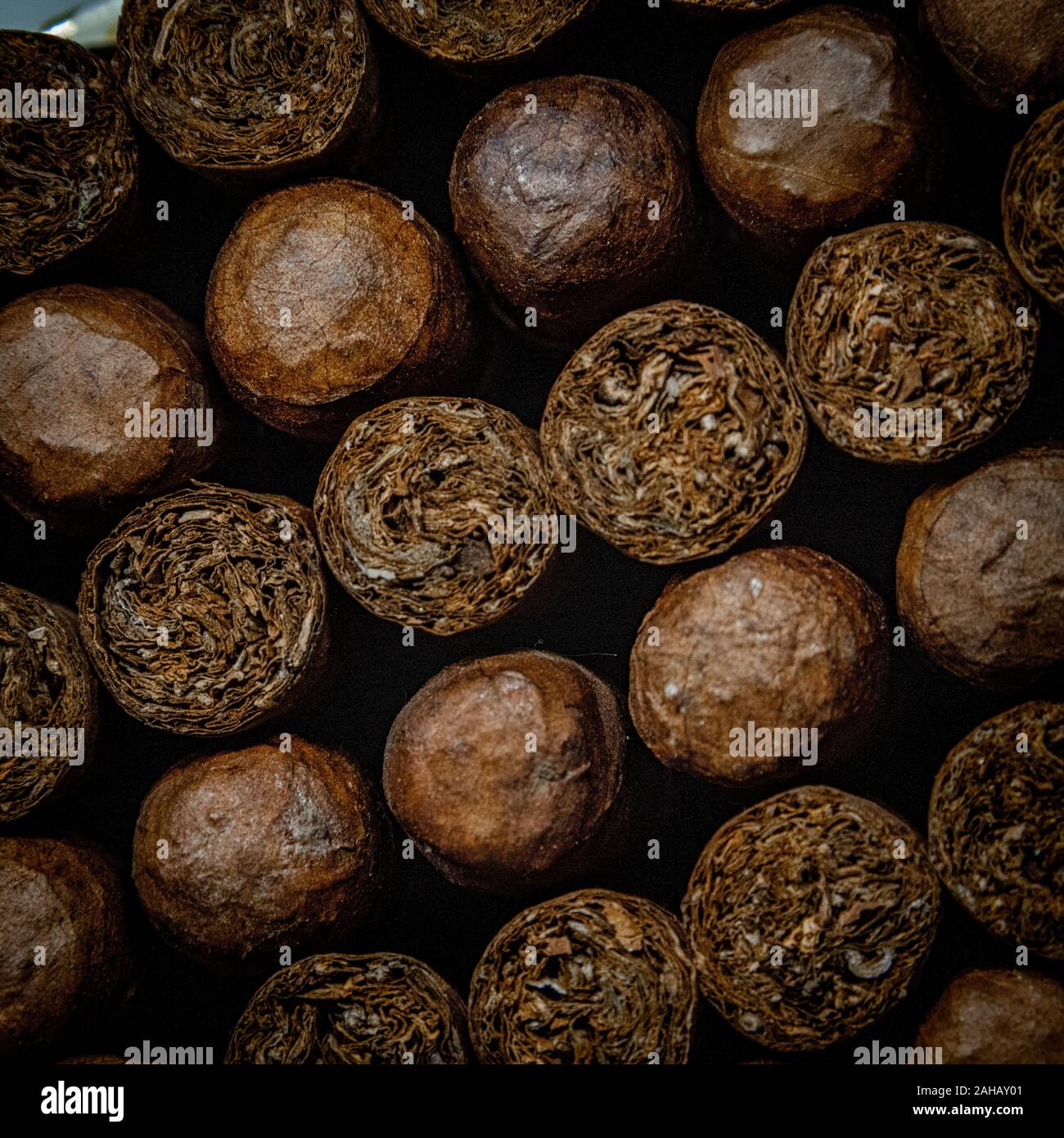 Cigars / Cuban Cigars: Traditional hand rolled tobacco stored in ...