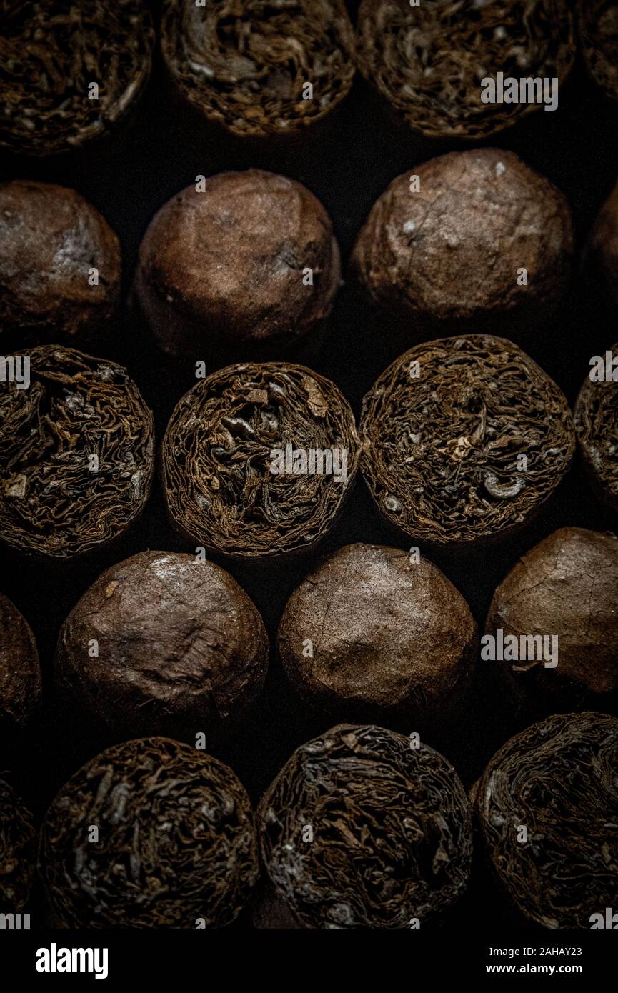 Cigars / Cuban Cigars: Traditional hand rolled tobacco stored in ...