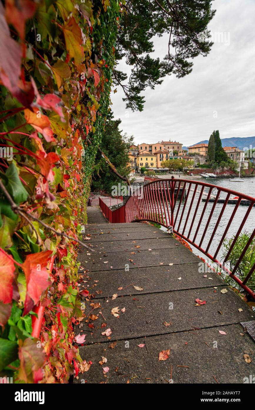 Autumn ivy foliage on the romantic walkway over Lake Como, Varenna ...
