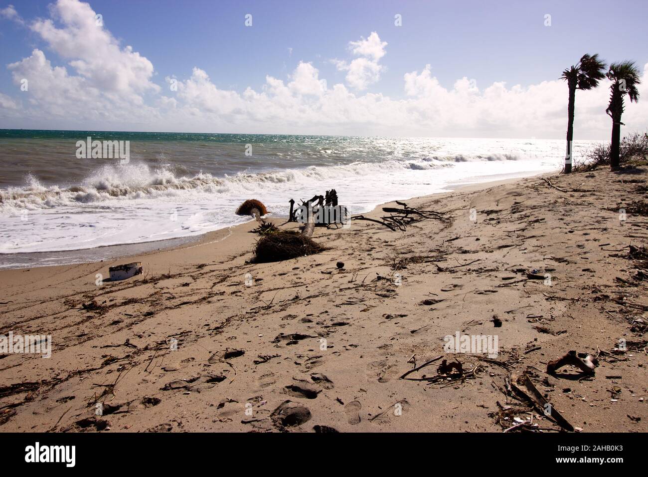 Beach Erosion Florida High Resolution Stock Photography and Images - Alamy
