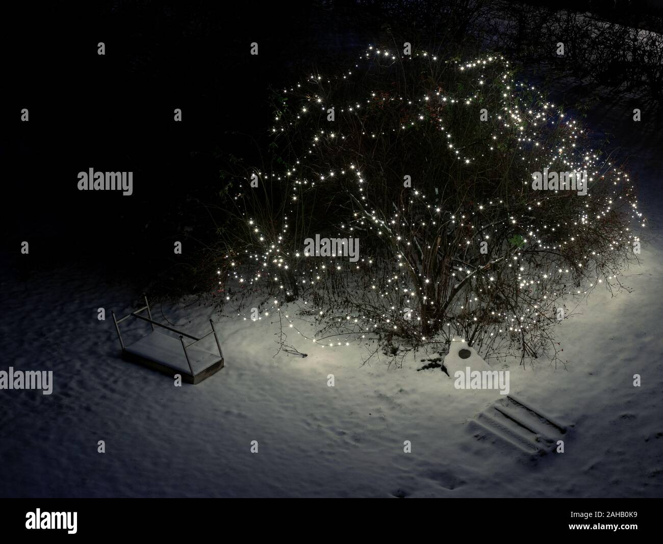 Tree lit up by Christmas lights Stock Photo - Alamy