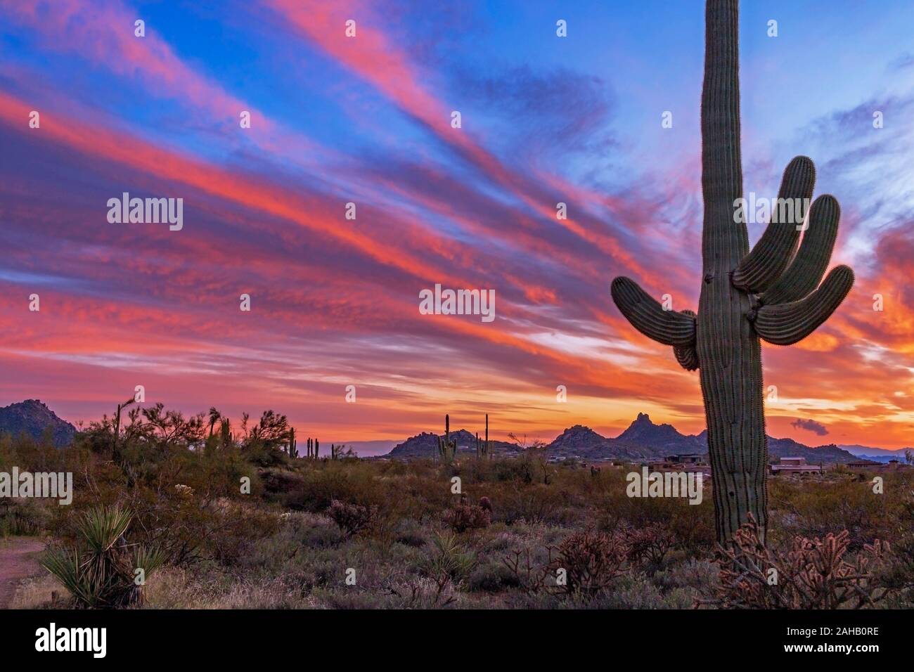 Arizona desert sunset hi-res stock photography and images - Alamy