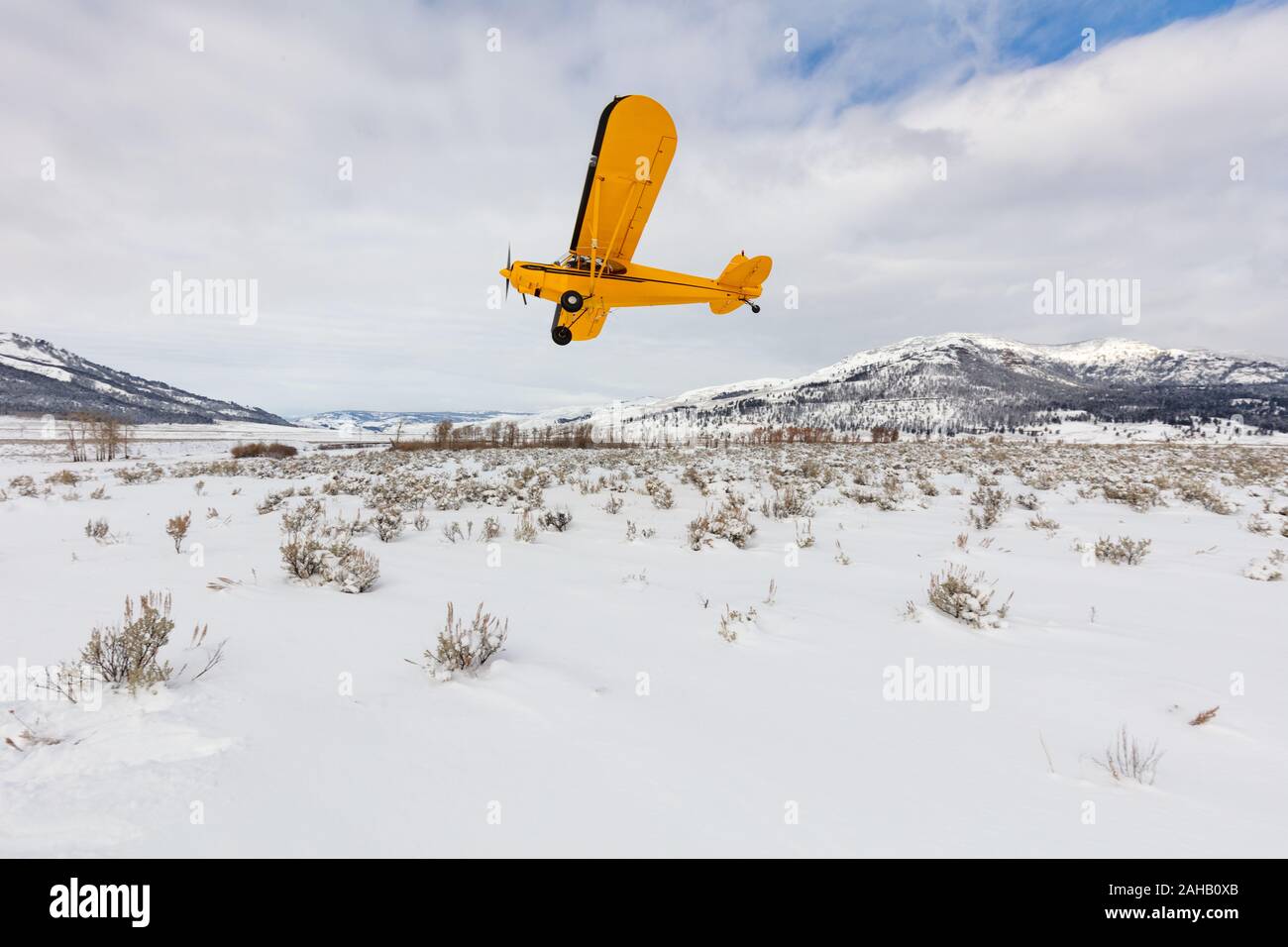 Piper super cub bush plane hi-res stock photography and images - Alamy