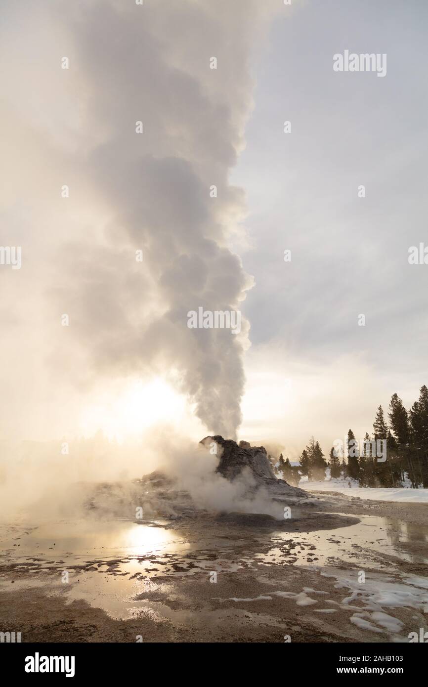 The Castle Geyser erupts with an explosion of steam in the Upper Geyser ...