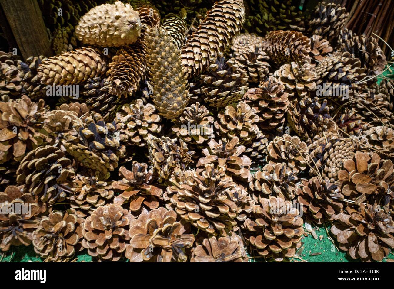 many fir cones are spread out on the ground for decoration Stock Photo ...