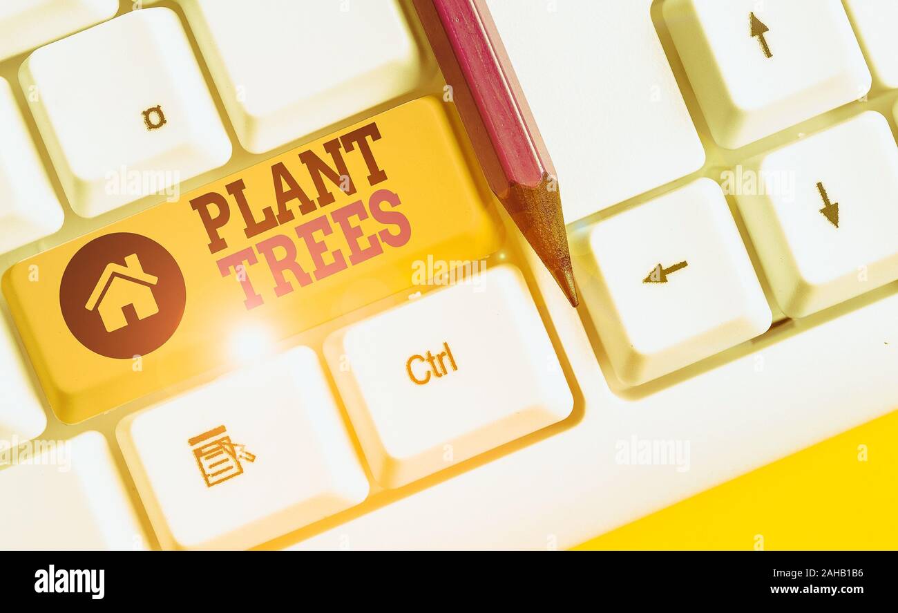 Handwriting text writing Plant Trees. Conceptual photo process of ...