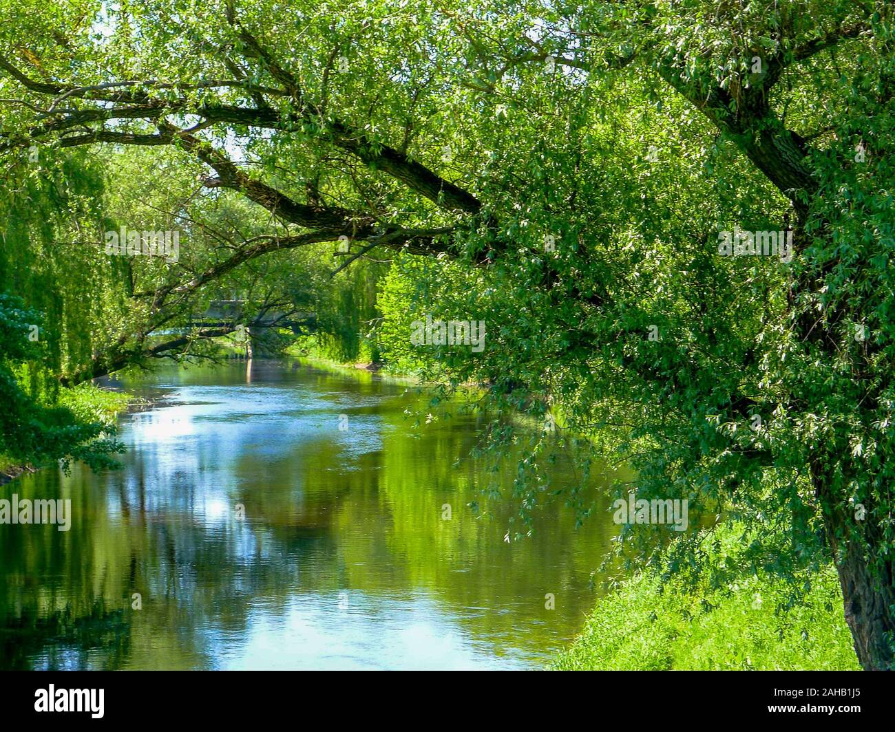 Overhanging branches hi-res stock photography and images - Alamy