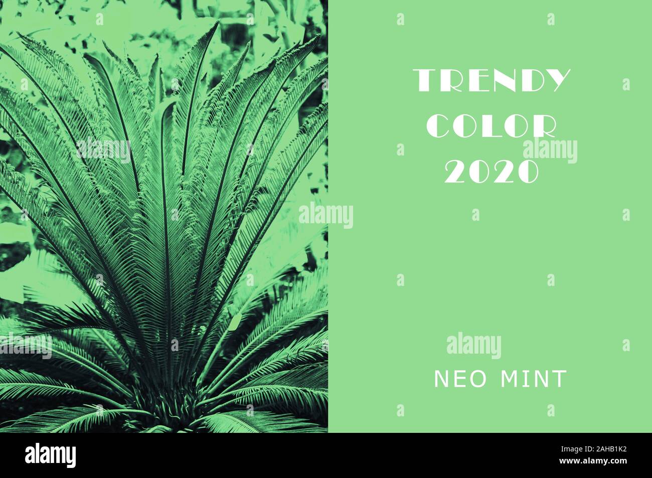 Neo background hi-res stock photography and images - Alamy