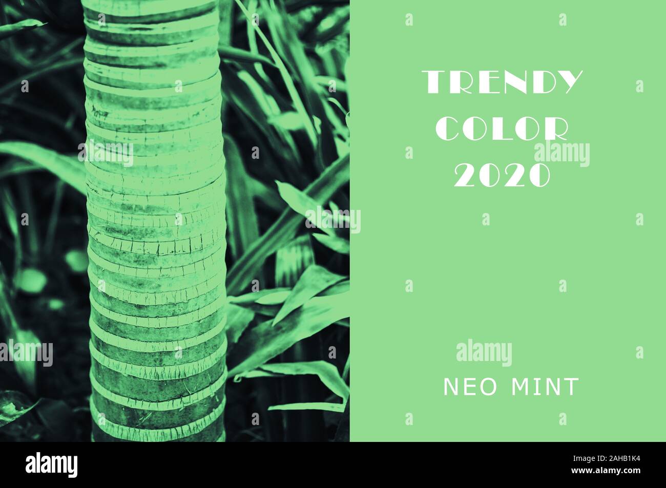 Neo background hi-res stock photography and images - Alamy