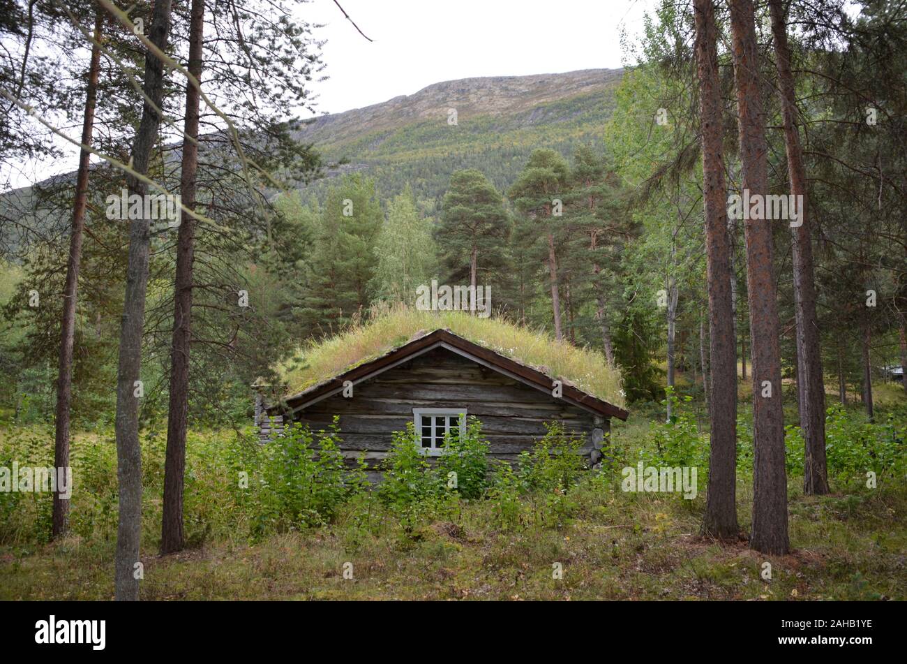 Sod house hi-res stock photography and images - Alamy