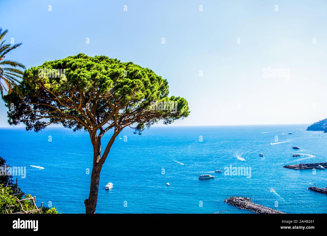 The ravello tree hi-res stock photography and images - Alamy