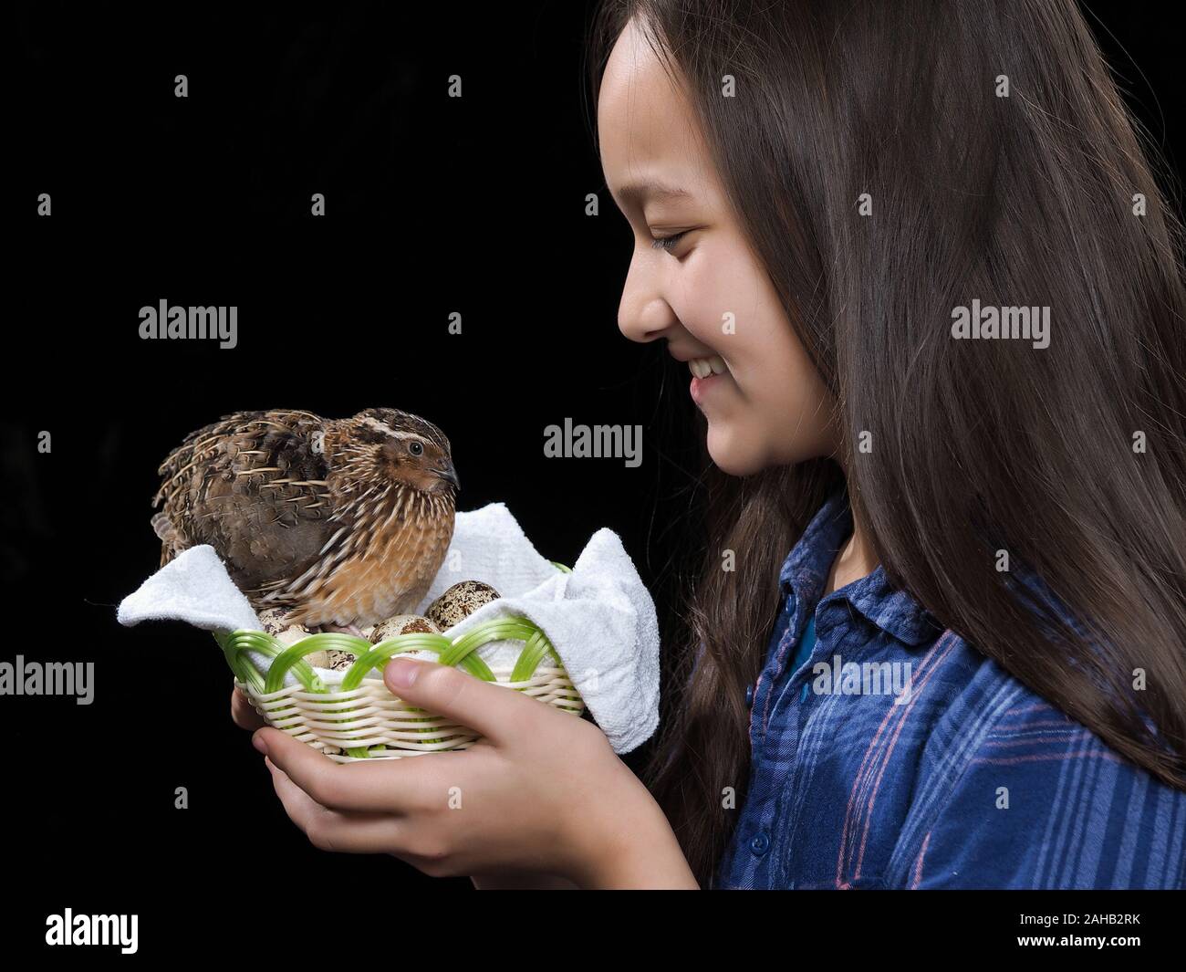 Portrait of a girl with a quail and quail eggs Stock Photo - Alamy