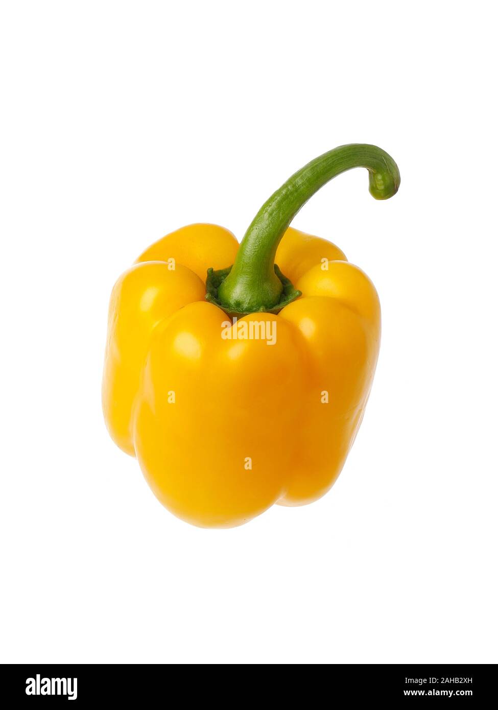 One ripe yellow pepper isolated on white background Stock Photo - Alamy
