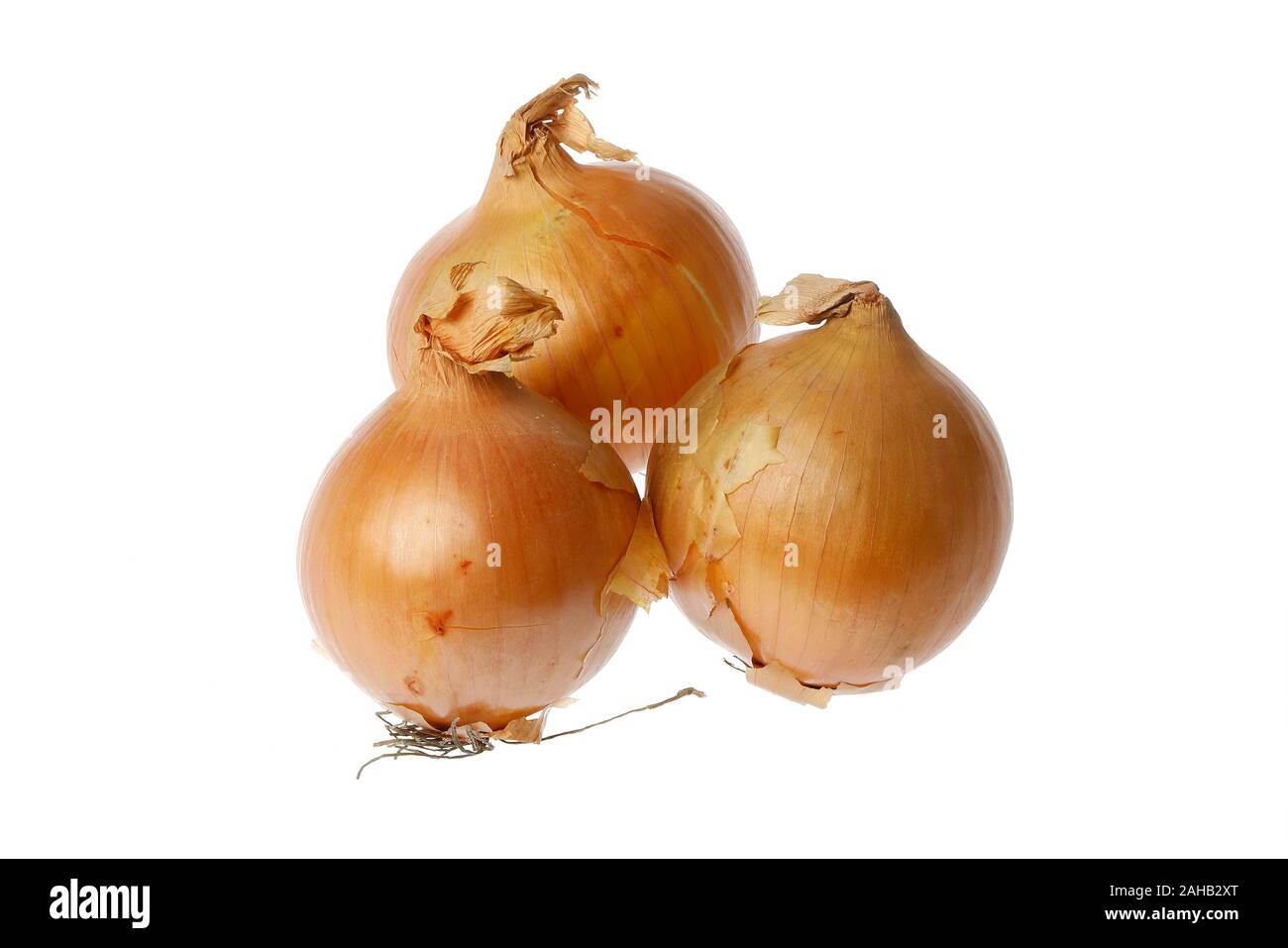 Three common onions isolated on white background Stock Photo - Alamy
