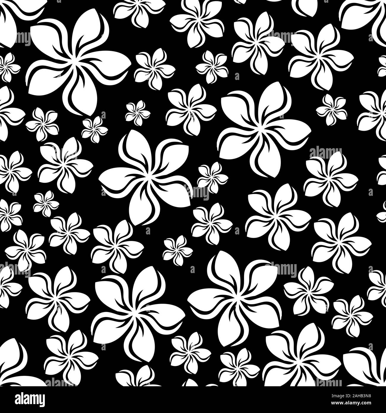 Frangipani Black and White Stock Photos & Images - Alamy