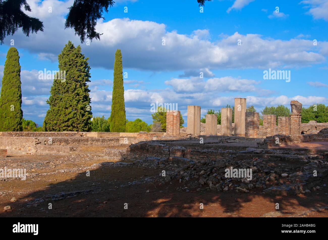 Light brown ancient ruined columns in the roman square, cypress trees ...