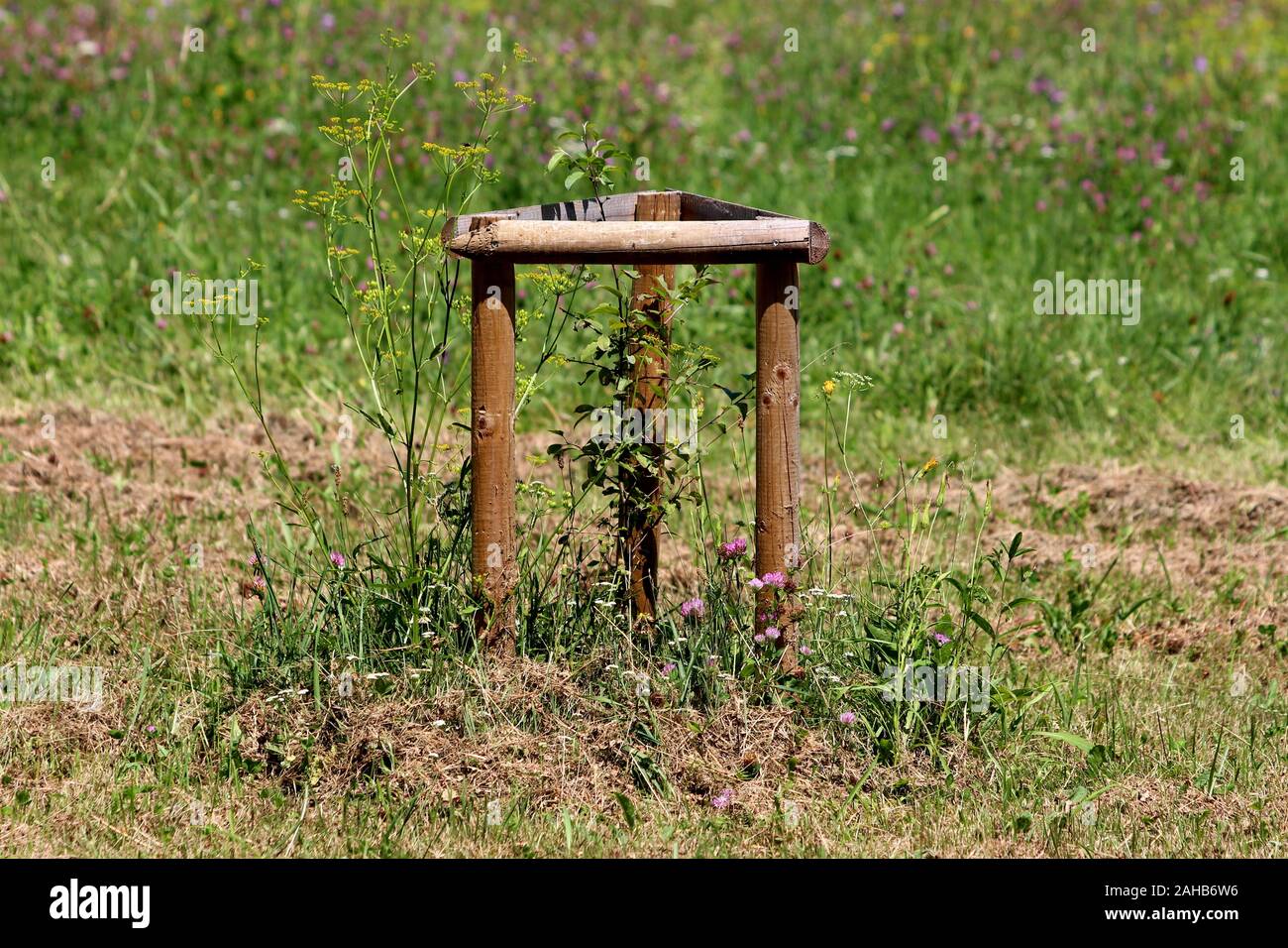 Wooden support flowers hi-res stock photography and images - Alamy