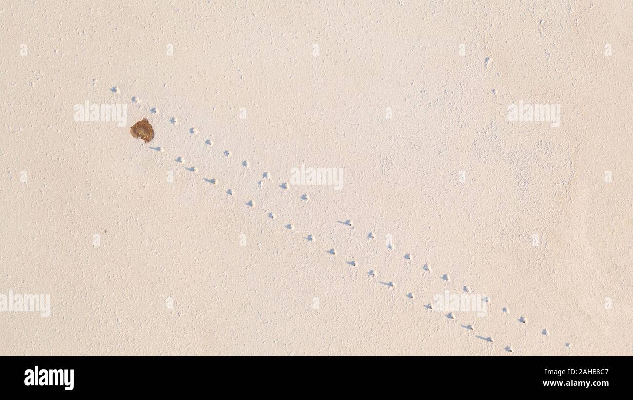 High quality Salt texture of the desert. View from the drone to the ...