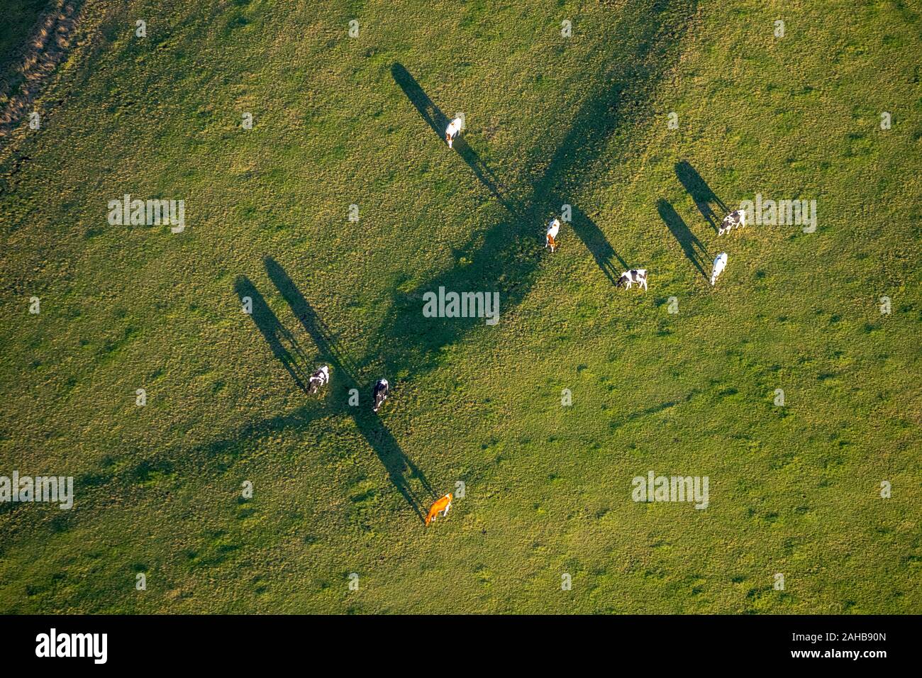 Pasture aerial germany agriculture hi-res stock photography and images ...