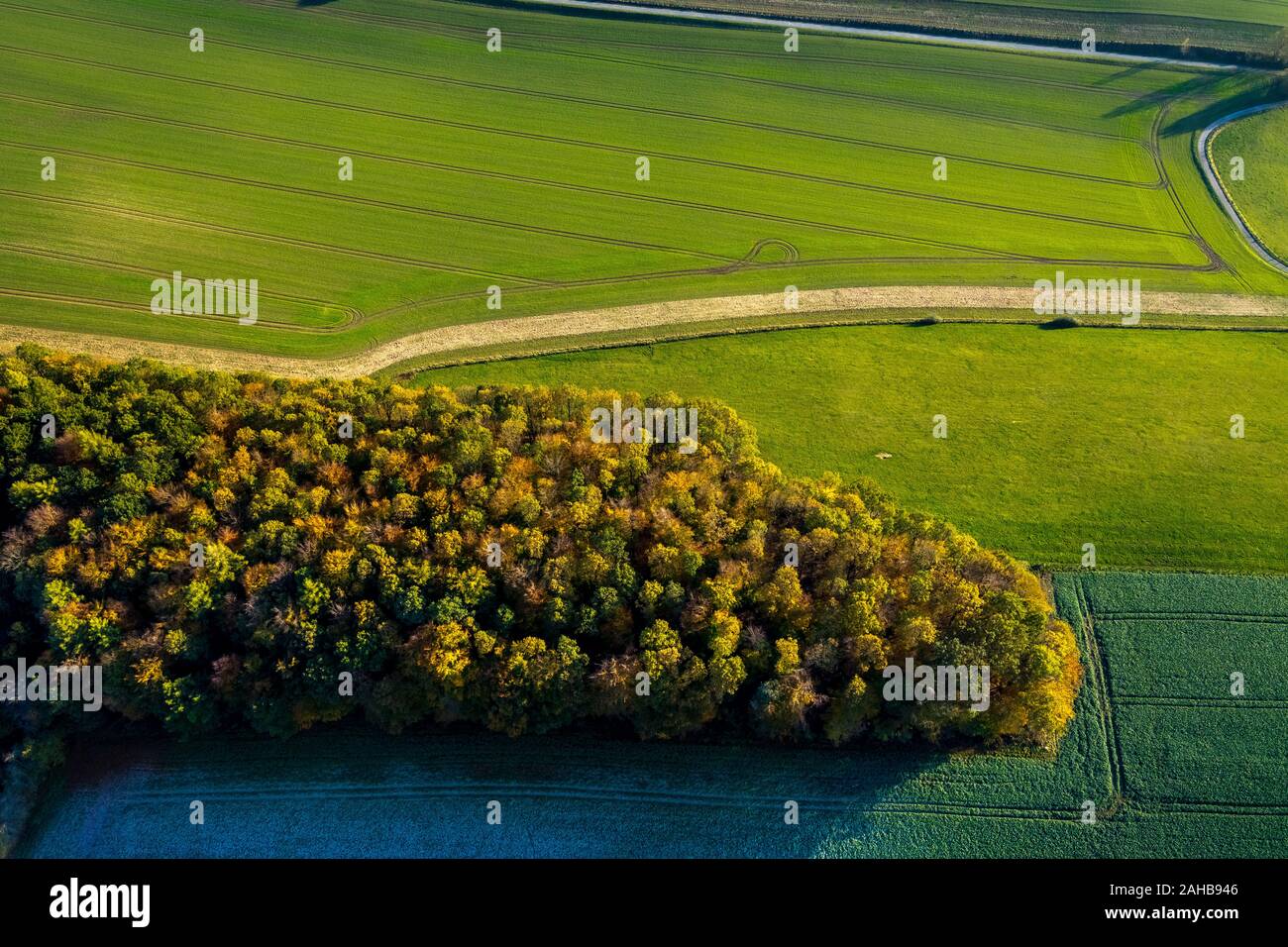 Mit wiesen und feldern hi-res stock photography and images - Alamy