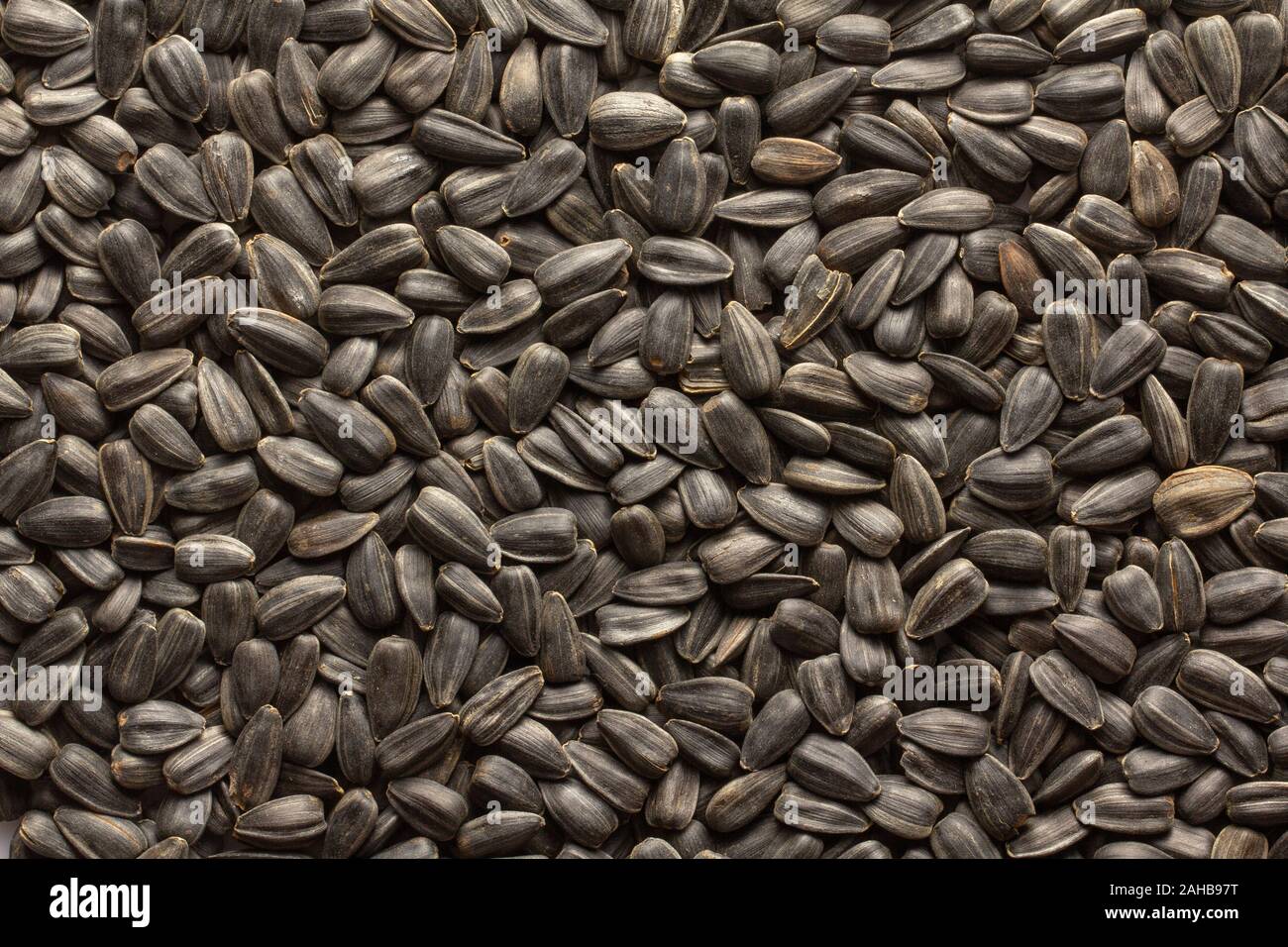 Sunflower seeds, back ground or texture, high detail Stock Photo - Alamy