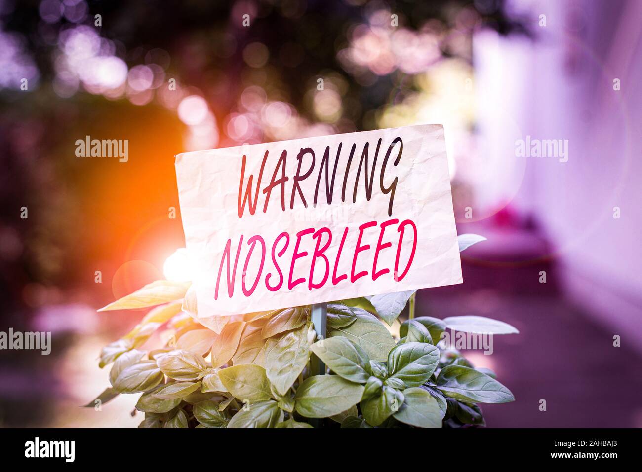 Word writing text Warning Nosebleed. Business photo showcasing caution ...