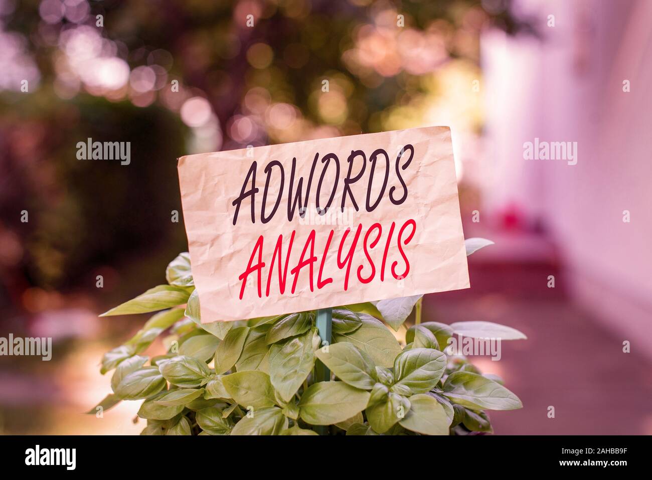 Word writing text Adwords Analysis. Business photo showcasing monitor campaigns and ensuring ...