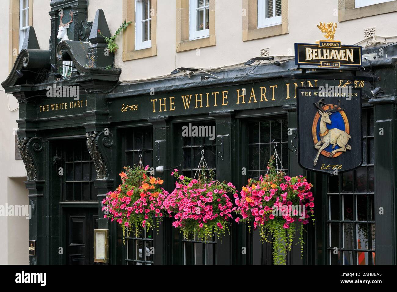 White Hart Scotland