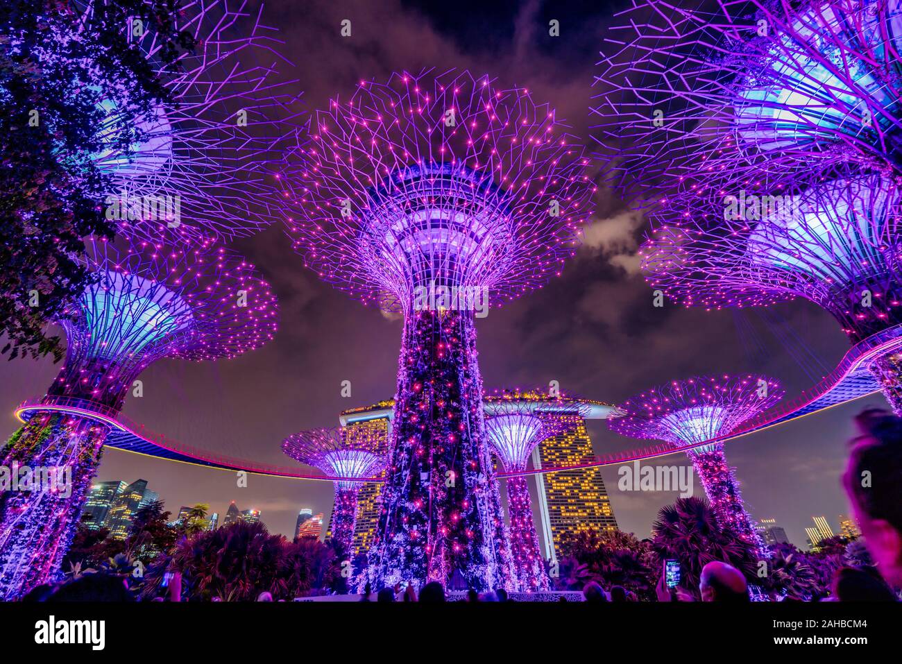 Singapore trees hi-res stock photography and images - Alamy