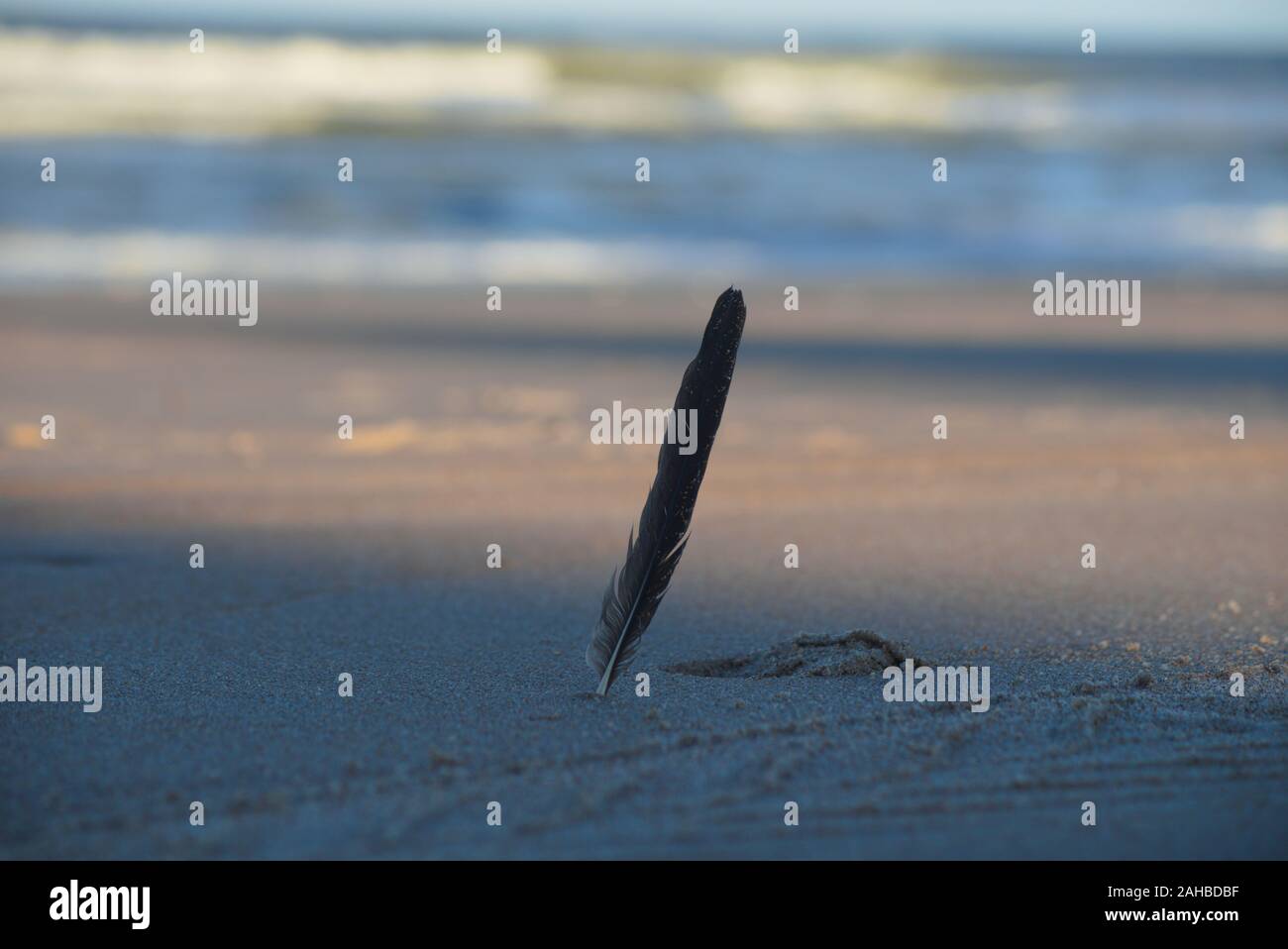 Feather beach hi-res stock photography and images - Alamy