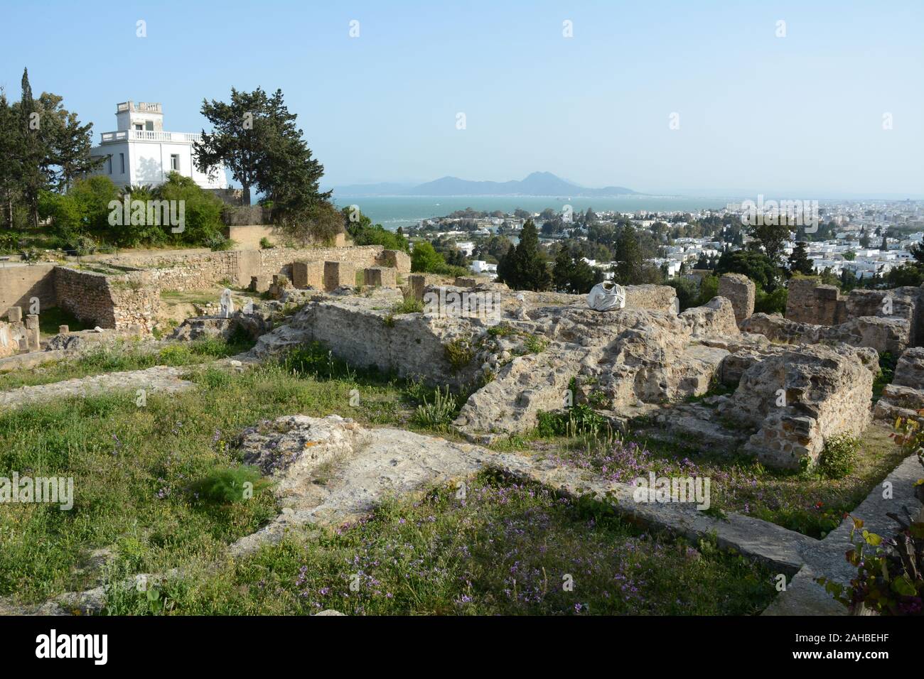 Punic carthage hi-res stock photography and images - Alamy