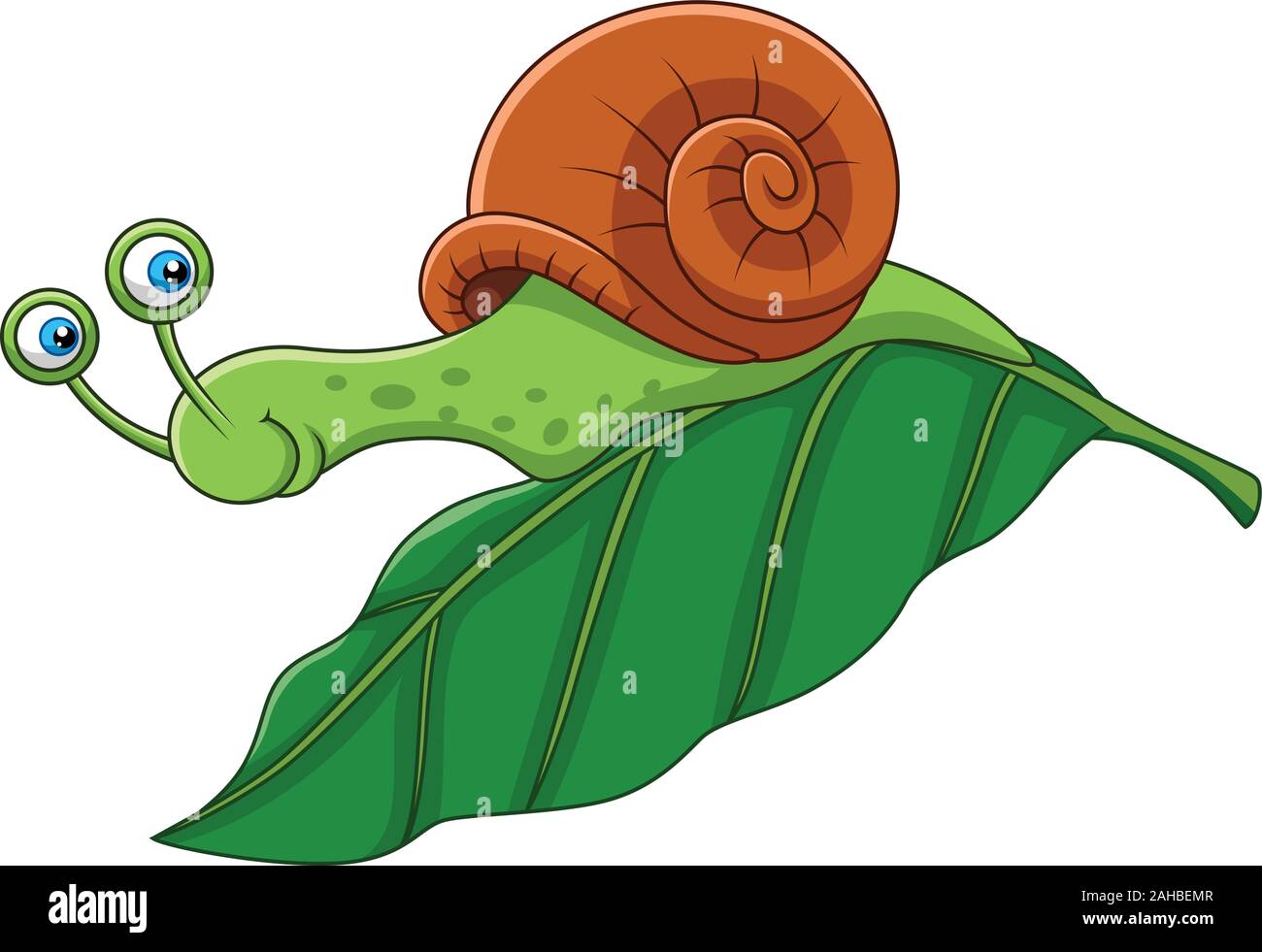 Snail shell on leaf Cut Out Stock Images & Pictures - Alamy