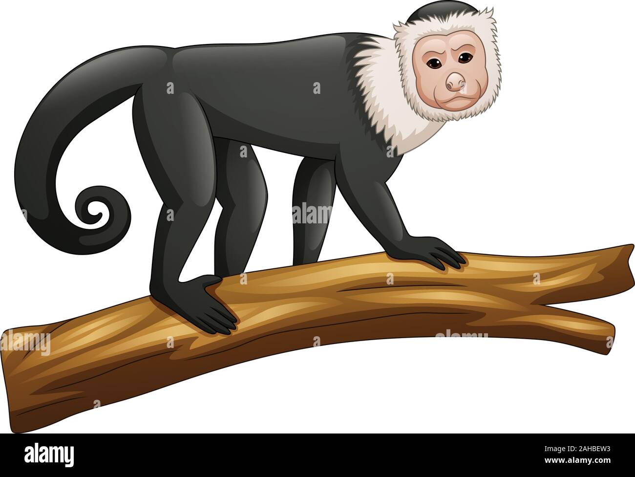 Illustration of Capuchin monkey isolated on white background Stock ...