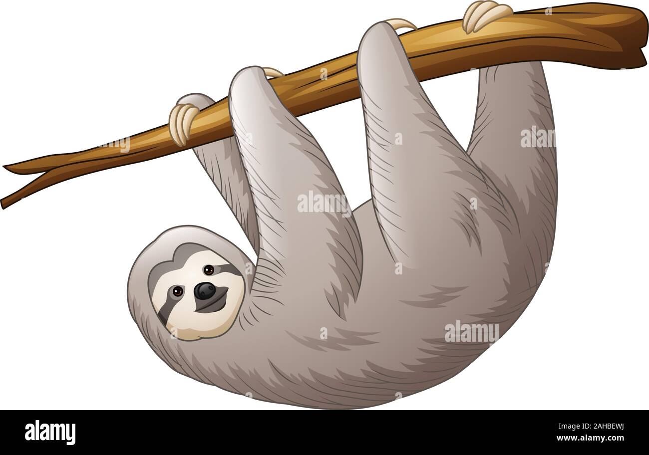 Illustration of sloth hanging on a branch Stock Vector Image & Art - Alamy