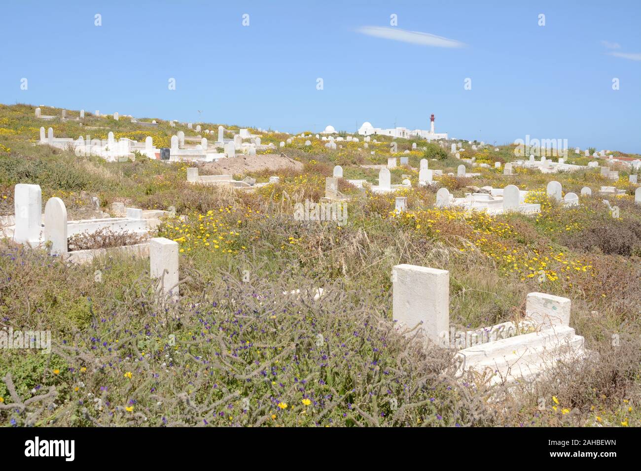 Tombstones and a mosque on a hillside at the 10th century Fatimid ...