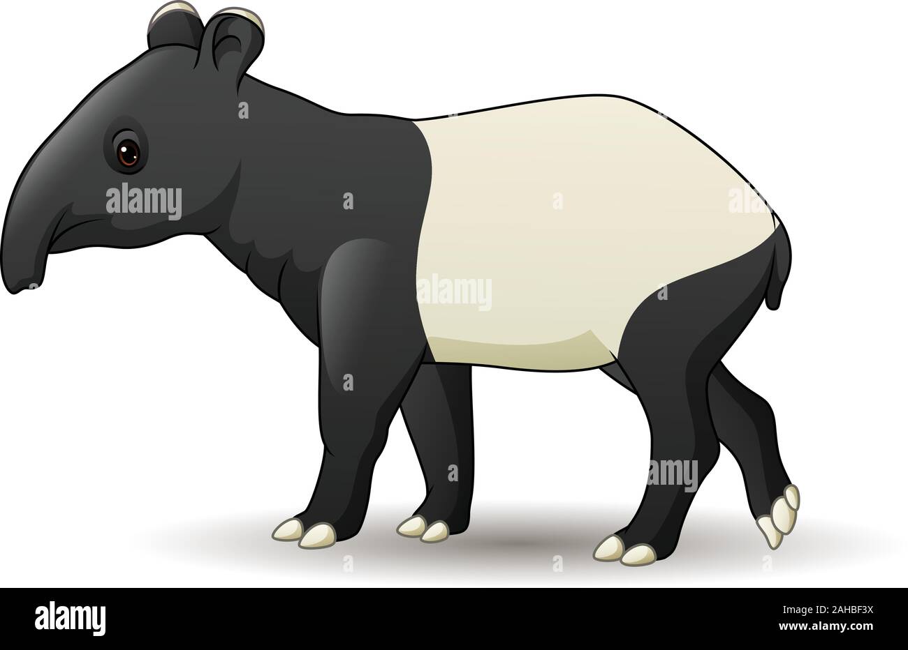 Cartoon Asian tapir isolated on white background Stock Vector Image ...