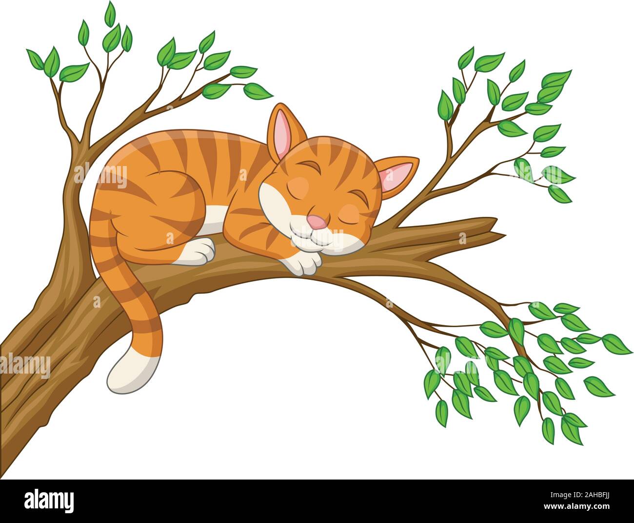 Cartoon Cat Sleeping