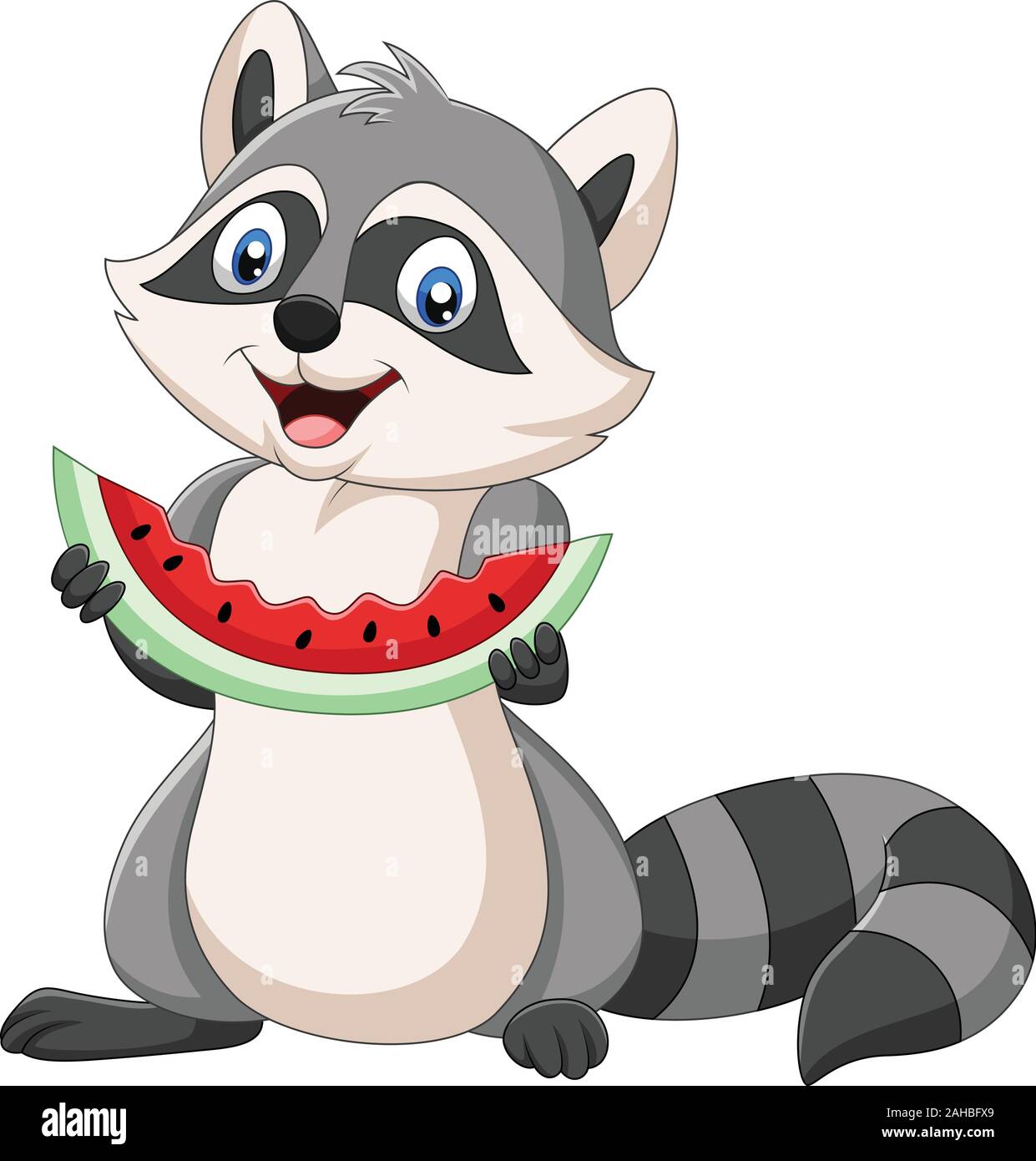 Cartoon raccoon eating watermelon on a white background Stock Vector ...