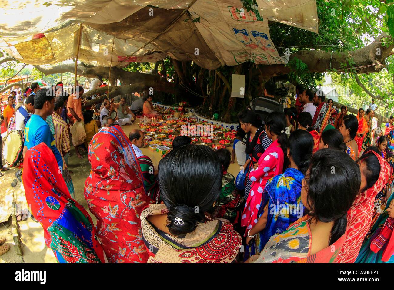 Bengali fruit tree hi-res stock photography and images - Alamy