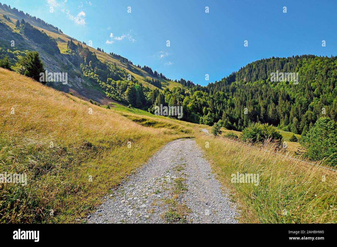 The walking path with mountain landscape at the background Stock Photo ...