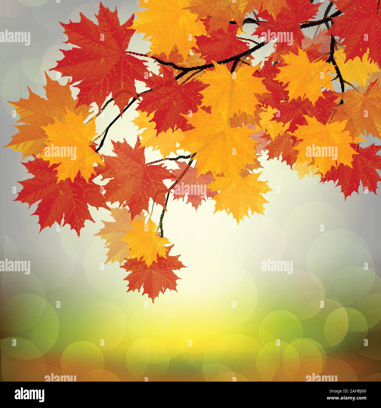 autumn leaves. vector Stock Vector Image & Art - Alamy