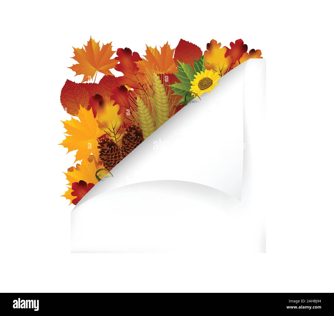 Vintage autumn paper with fall leaves. Vector Stock Vector Image & Art ...