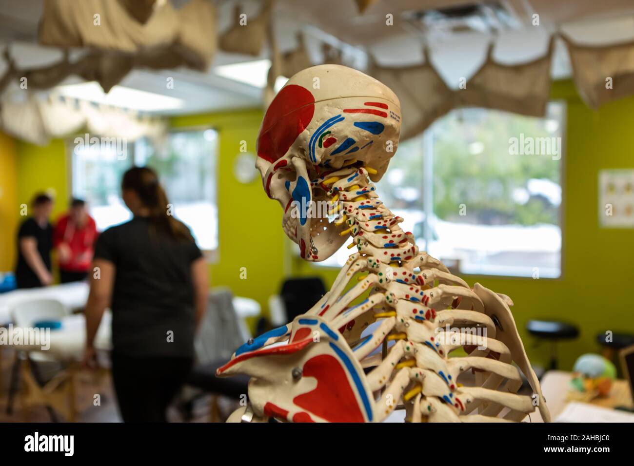 Class Skeleton High Resolution Stock Photography and Images - Alamy