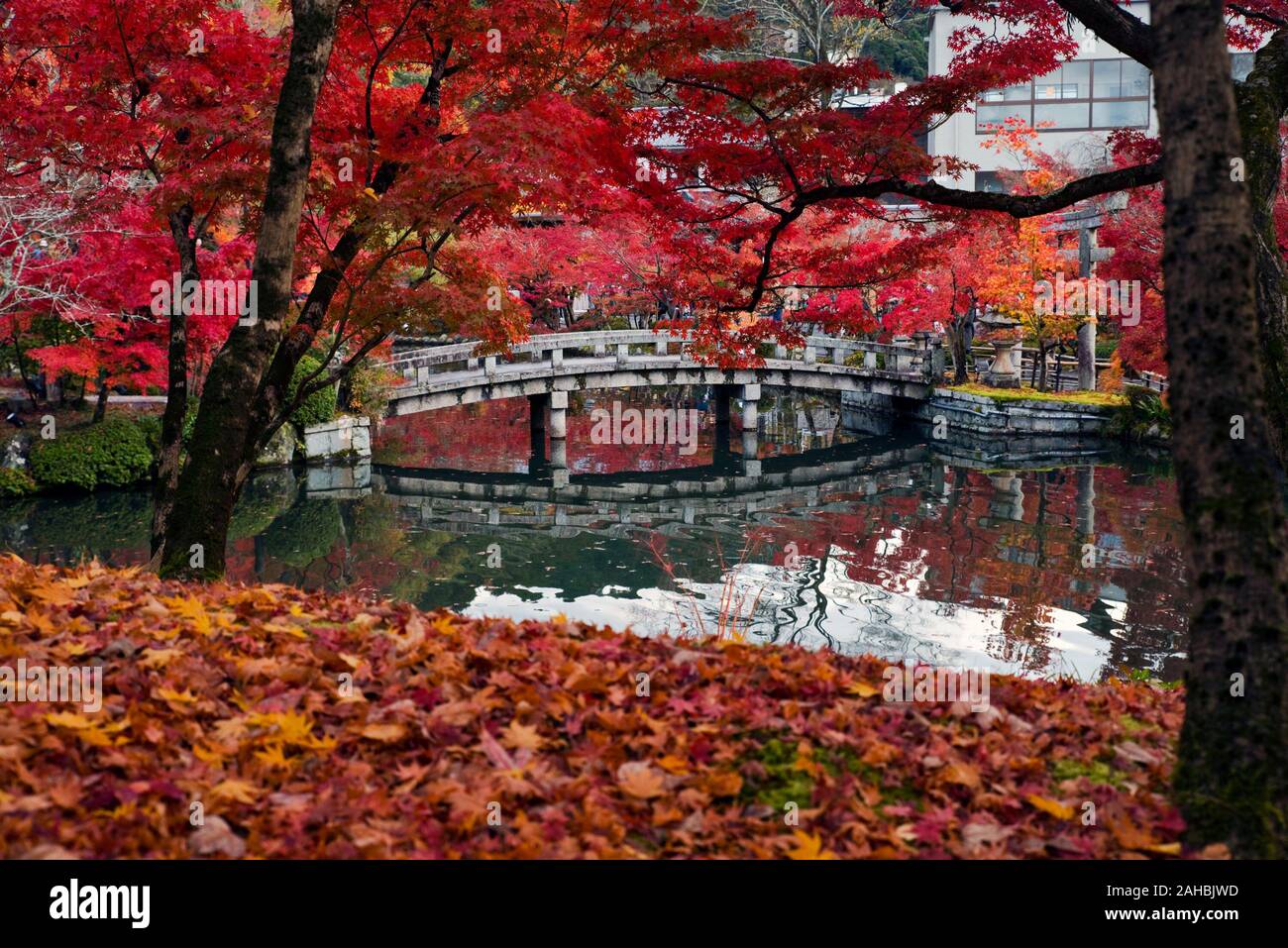 Zenrin hi-res stock photography and images - Alamy