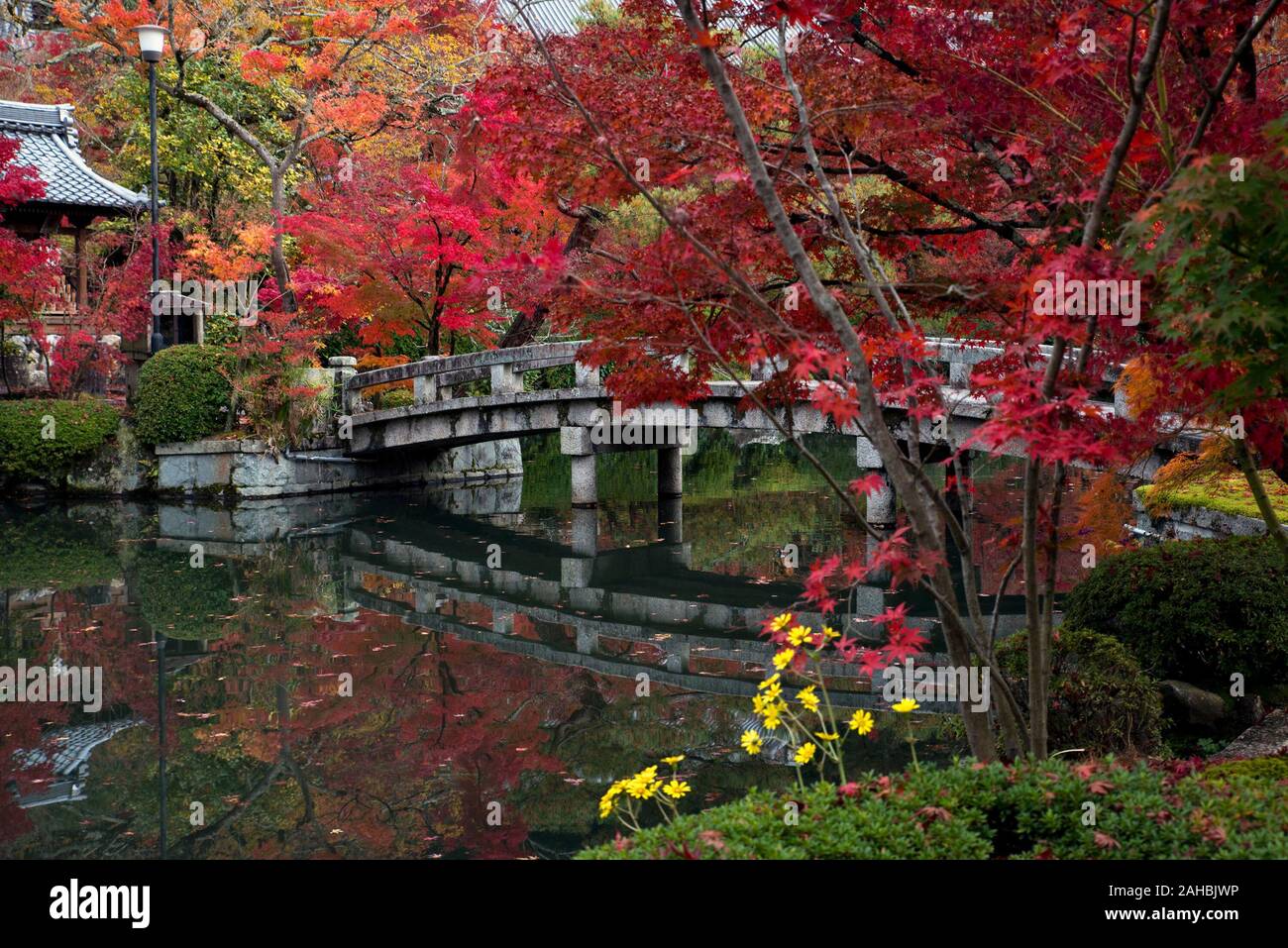 Eikan do zenrin ji hi-res stock photography and images - Alamy