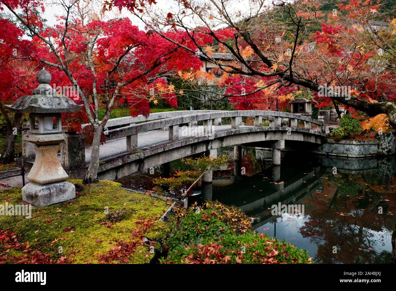 Philosophers pat hi-res stock photography and images - Alamy