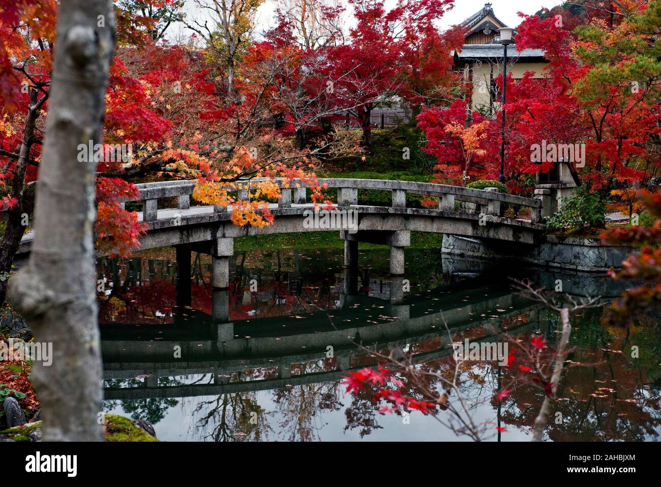 Philosophers pat hi-res stock photography and images - Alamy