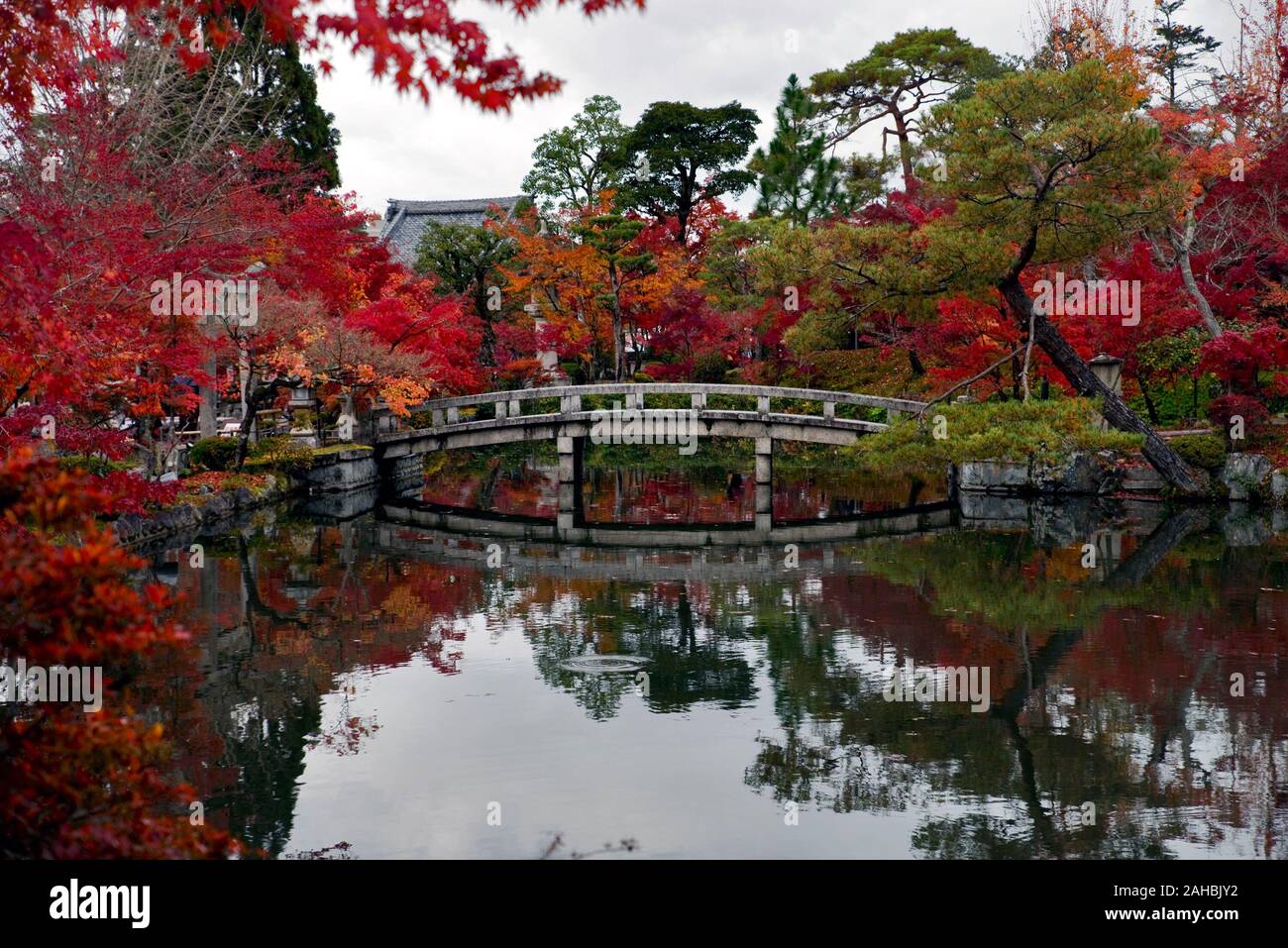 Eikan do zenrin ji hi-res stock photography and images - Alamy