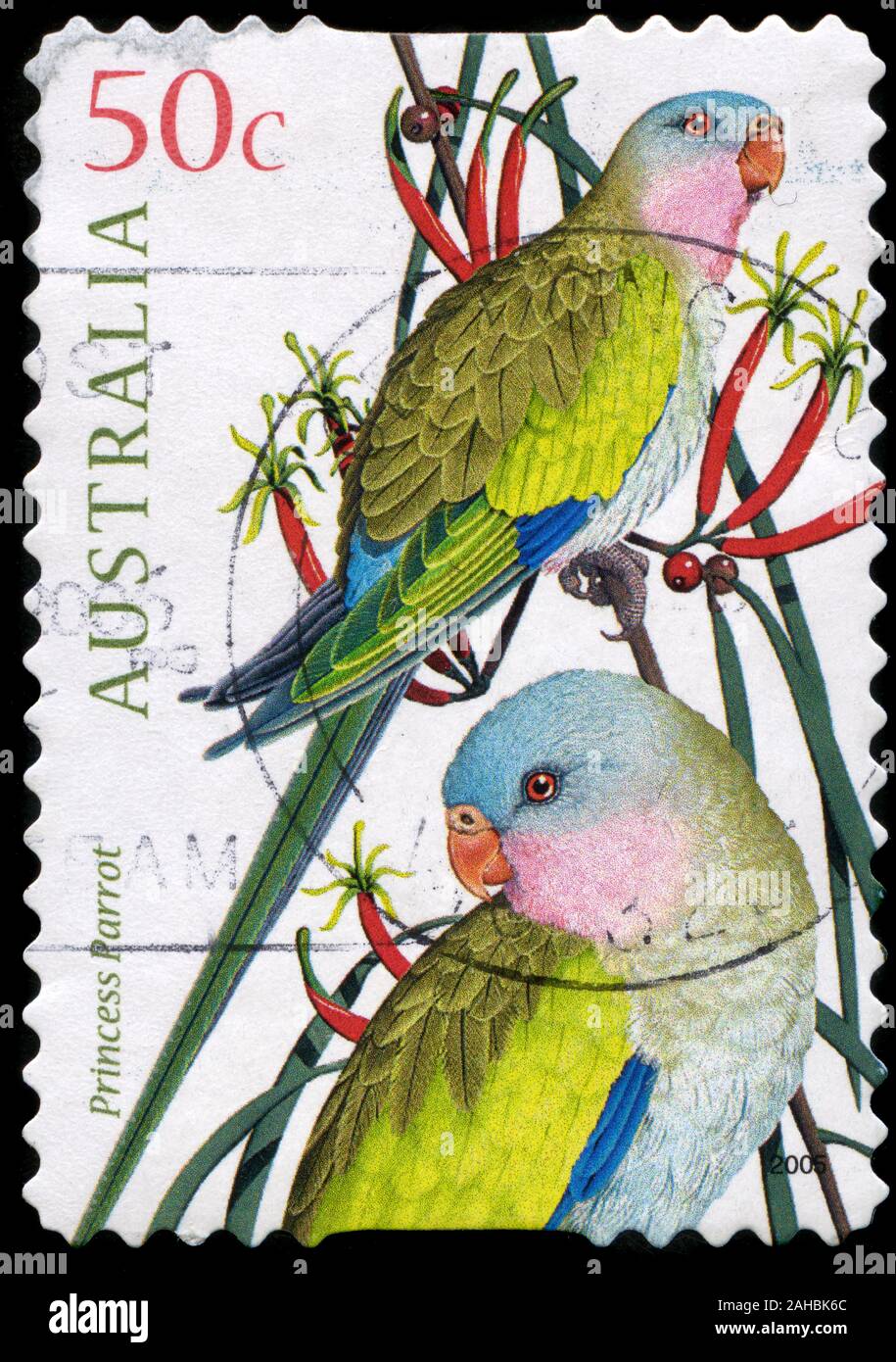 Princess Parrot (Polytelis alexandrae Stock Photo - Alamy